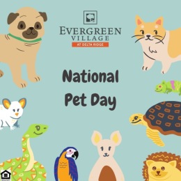 Evergreen Village at Delta Ridge is a pet-friendly apartment community ...