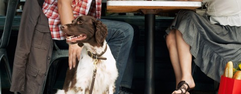 Beautiful rentals in Eugene, OR | Evergreen Village at Delta Ridge